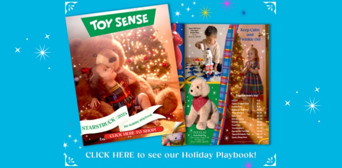 Welcome to Your Toy Store - Toy Sense