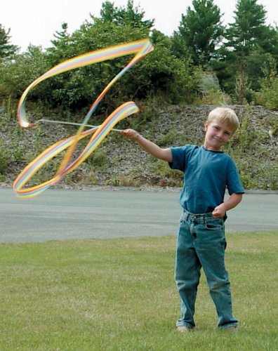 Ribbon Stick - Toy Sense