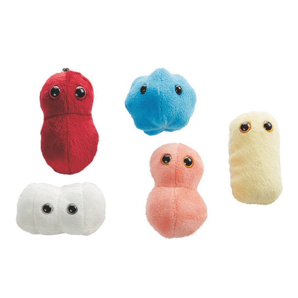 Giant Microbes - Sick Day Themed Gift Boxes - Toy Sense
