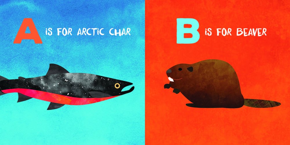 C is for Canada - Toy Sense