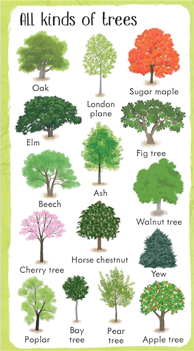 199 Things in the Garden. - Toy Sense