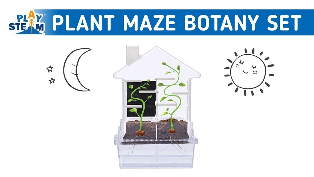 Plant Maze Botany Kit Set - Toy Sense