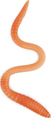 Mega Stretch Worm - Toy Sense